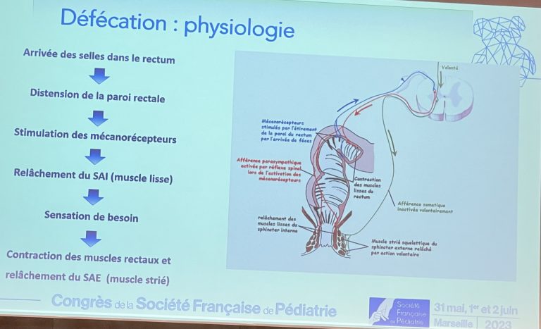 Physiologie de la Défécation : Comprendre le Mécanisme Digestif