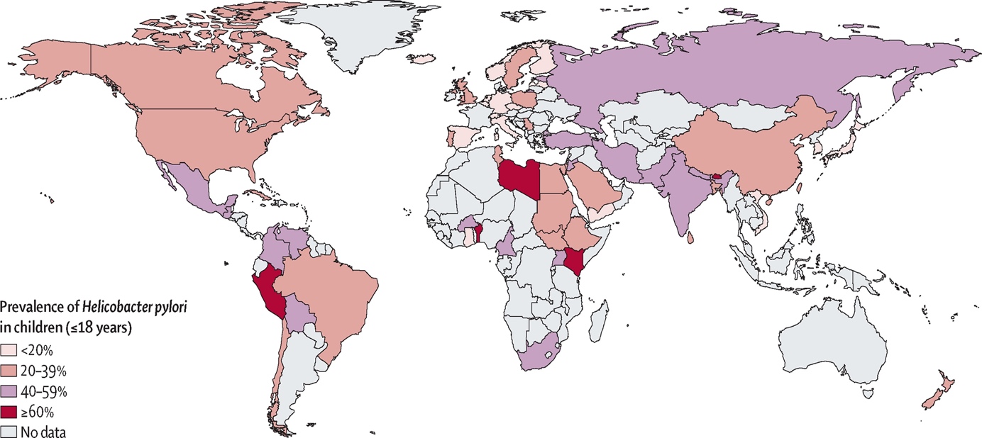 Infection à Helicobacter Pylori Quand y penser ? Comment appliquer les ...