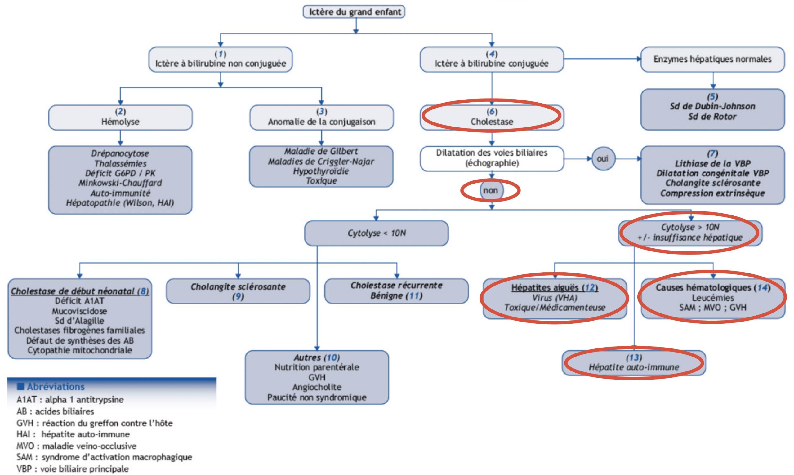 Cas clinique fièvre - AFPA Association Française de Pédiatrie Ambulatoire