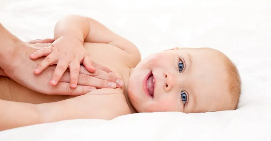 Tympan normal - Anatomie et aspect normal du tympan