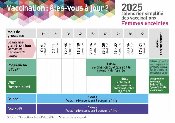 Calendrier simplifié des vaccinations de la femme enceinte